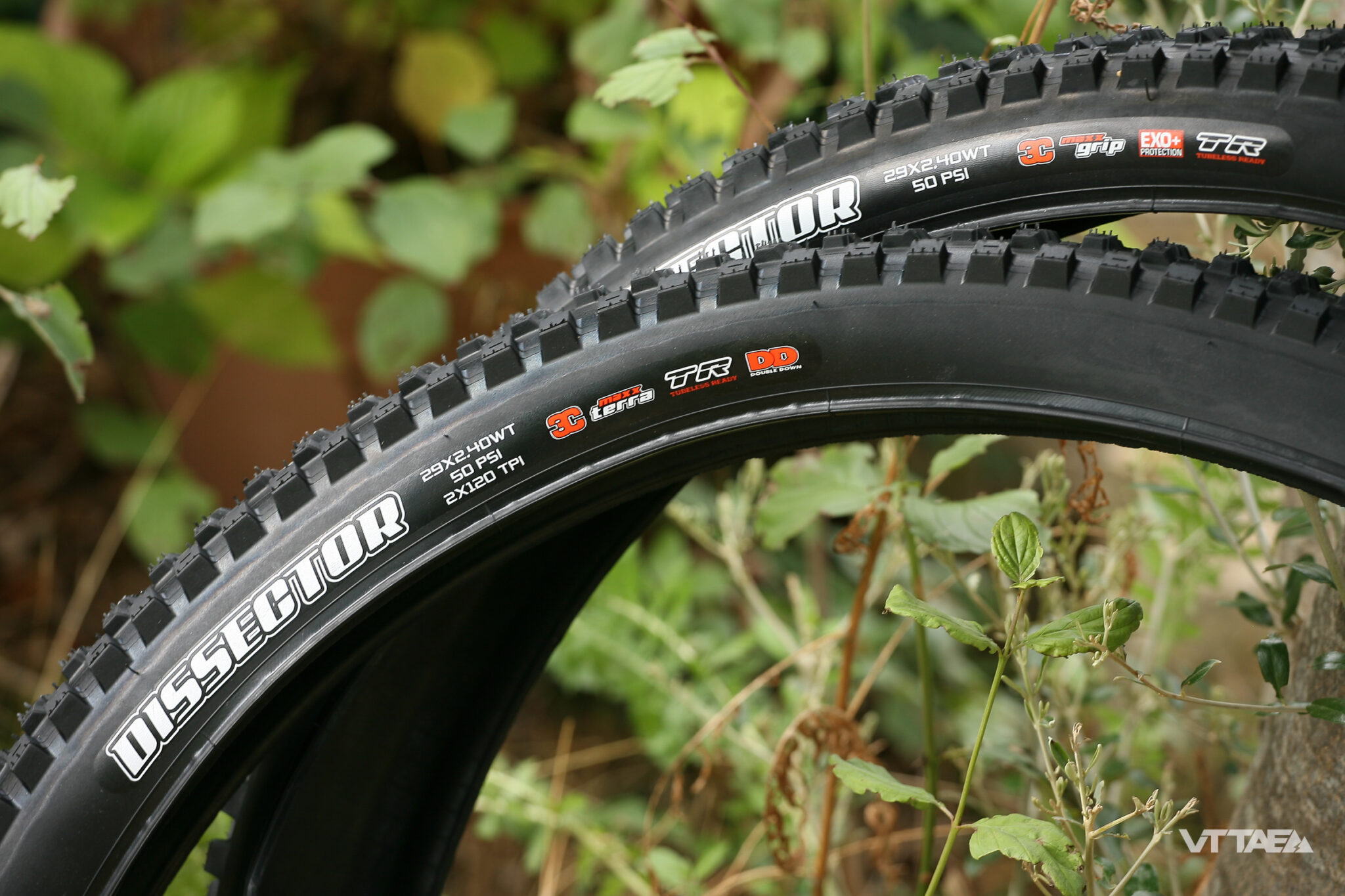 Test des pneus Maxxis Dissector EXO+ et Double Down | VTTAE.fr